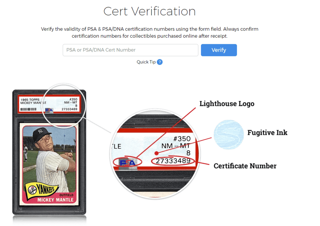 Everything You Need To Know About Counterfeit Cards